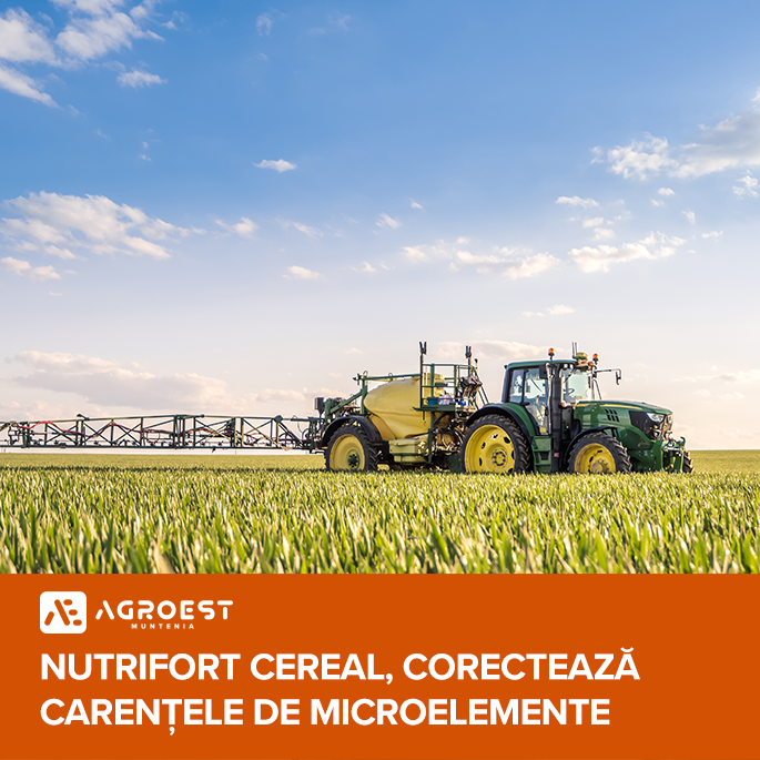 Nutrifort Cereal, de la Agro-Est Muntenia, corectează carențele de mic ...