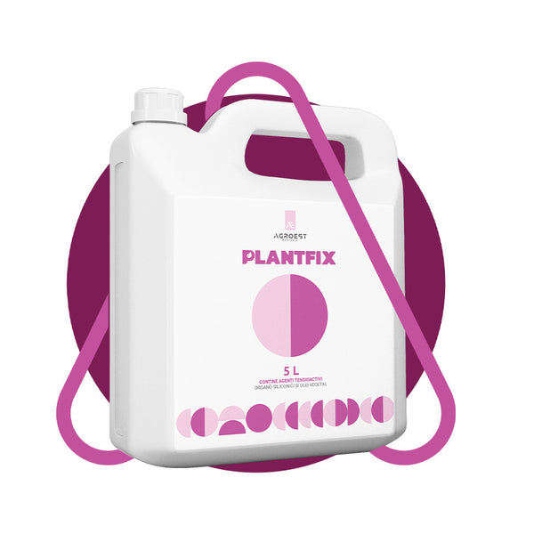 Plantfix– AGRO-EST MUNTENIA